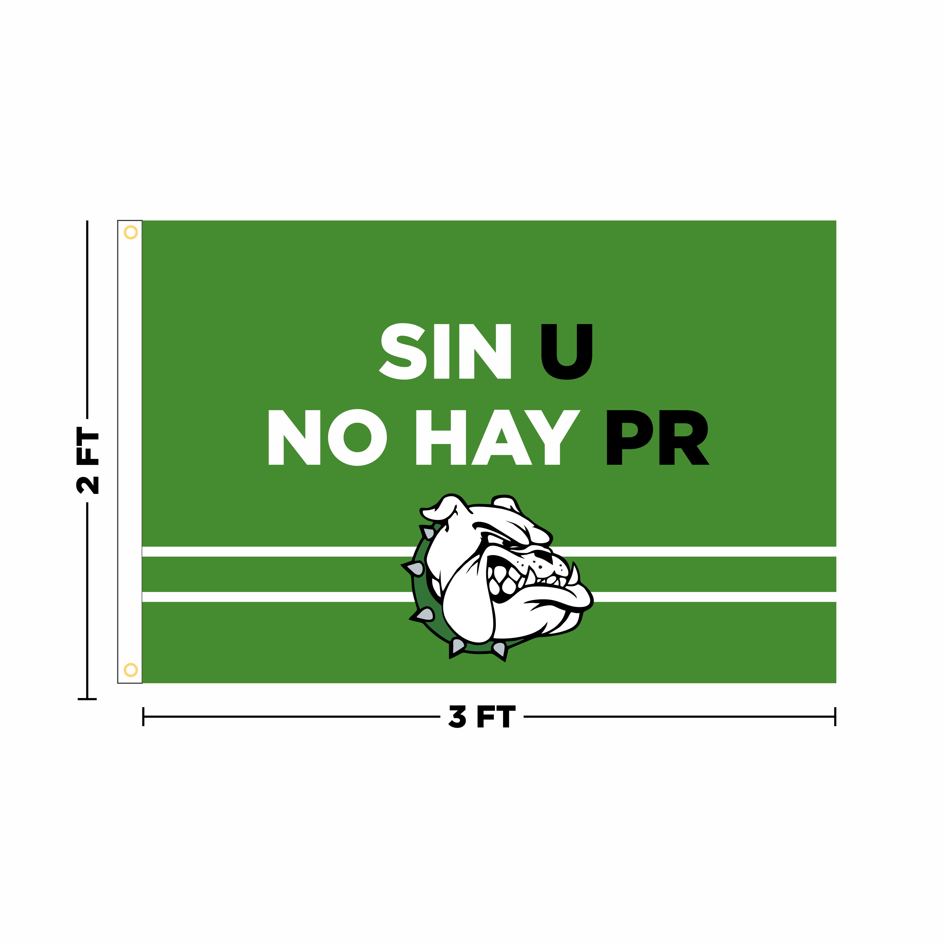 Bandera El Colegio – Bori Wars PR